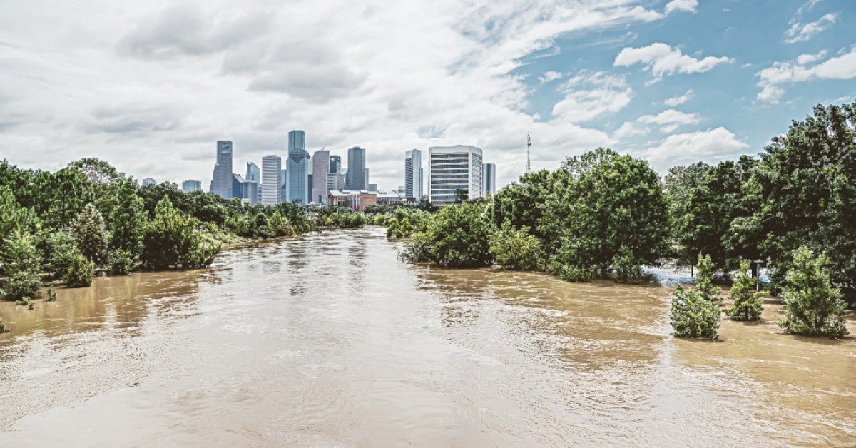 Q&A: How a green approach could help Houston shrink its flood risks—and ...