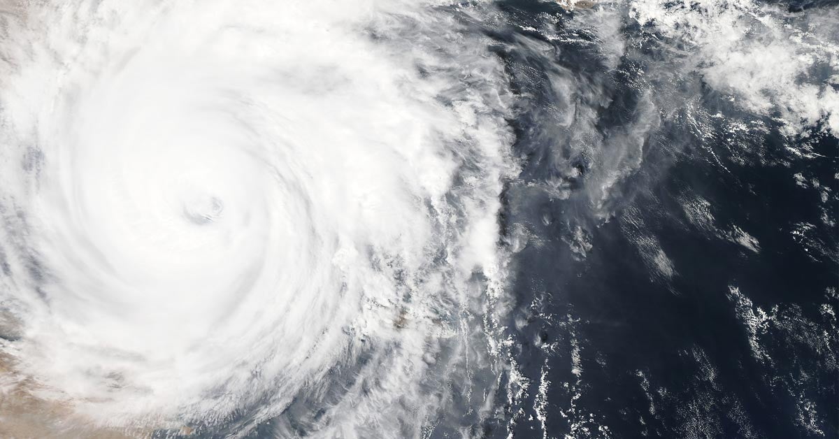 Could cities, not national governments, be the ones to fight the ...